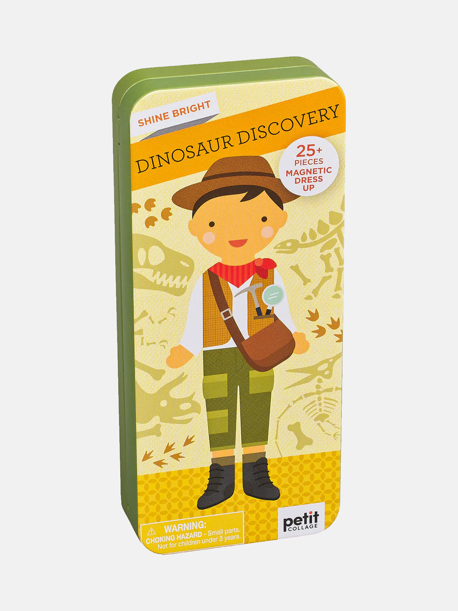 Dino Discovery Magnetic Play Set – Celadon at Home