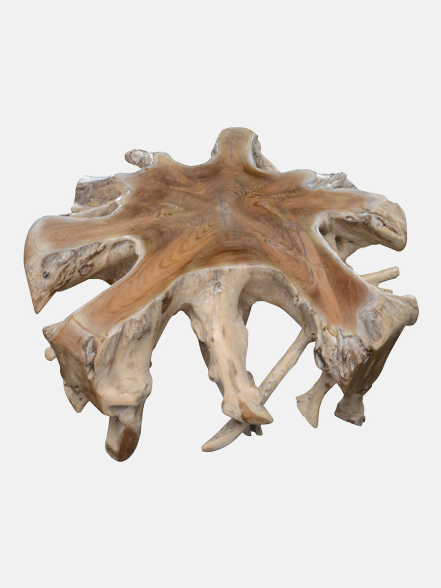 Cypress Root Coffee Table – Celadon at Home