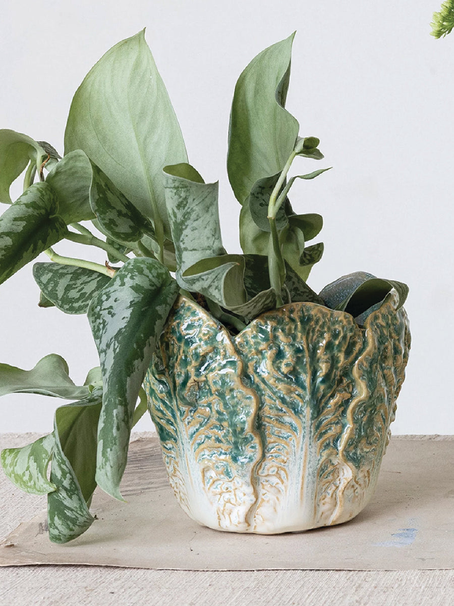 Stoneware Cabbage Planter – Celadon at Home